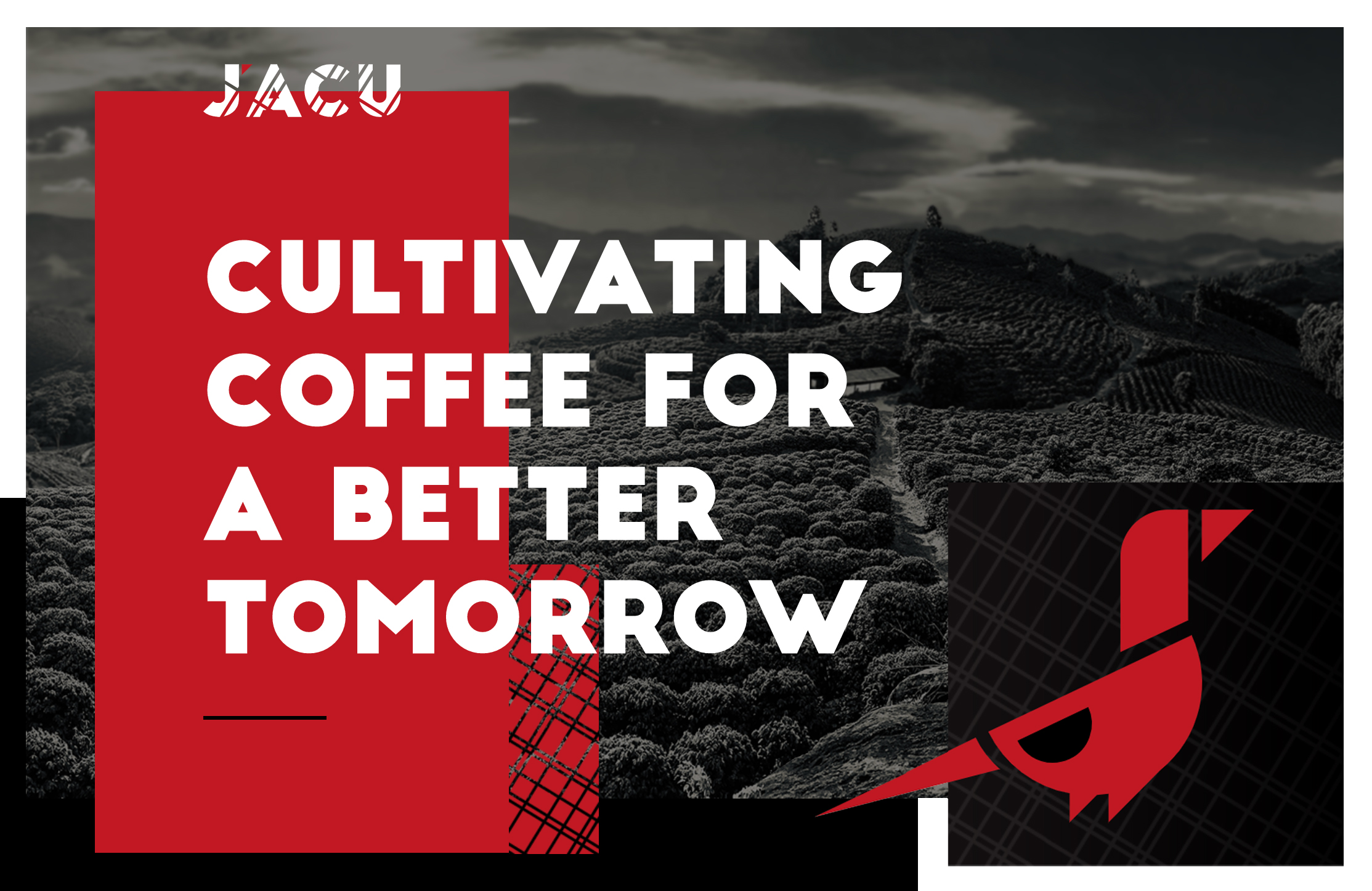 Jacu Coffee